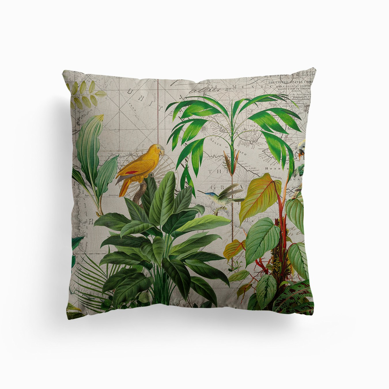 Exotic Birds Journey Canvas Cushion by Andrea Haase - Fy