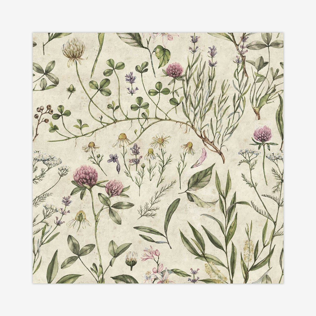 Vintage Botanic Illustration Wallpaper By Dekornik Fy