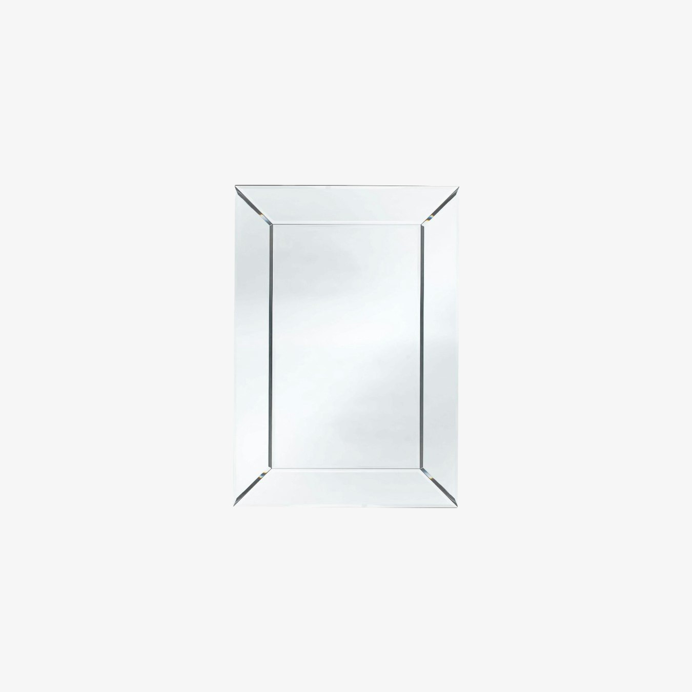 Mirrored Glass Rectangular Wall Mirror By Pacific Lifestyle Fy
