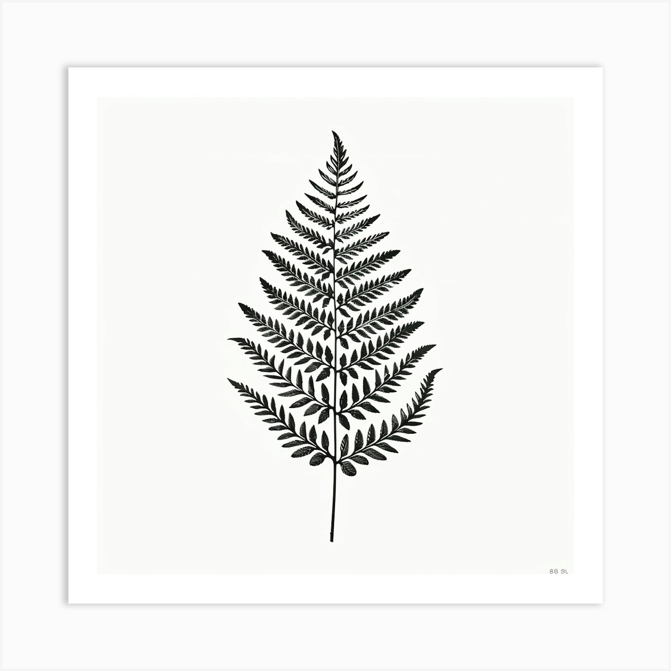 Fern Leaf Art Print by Eztoar - Fy