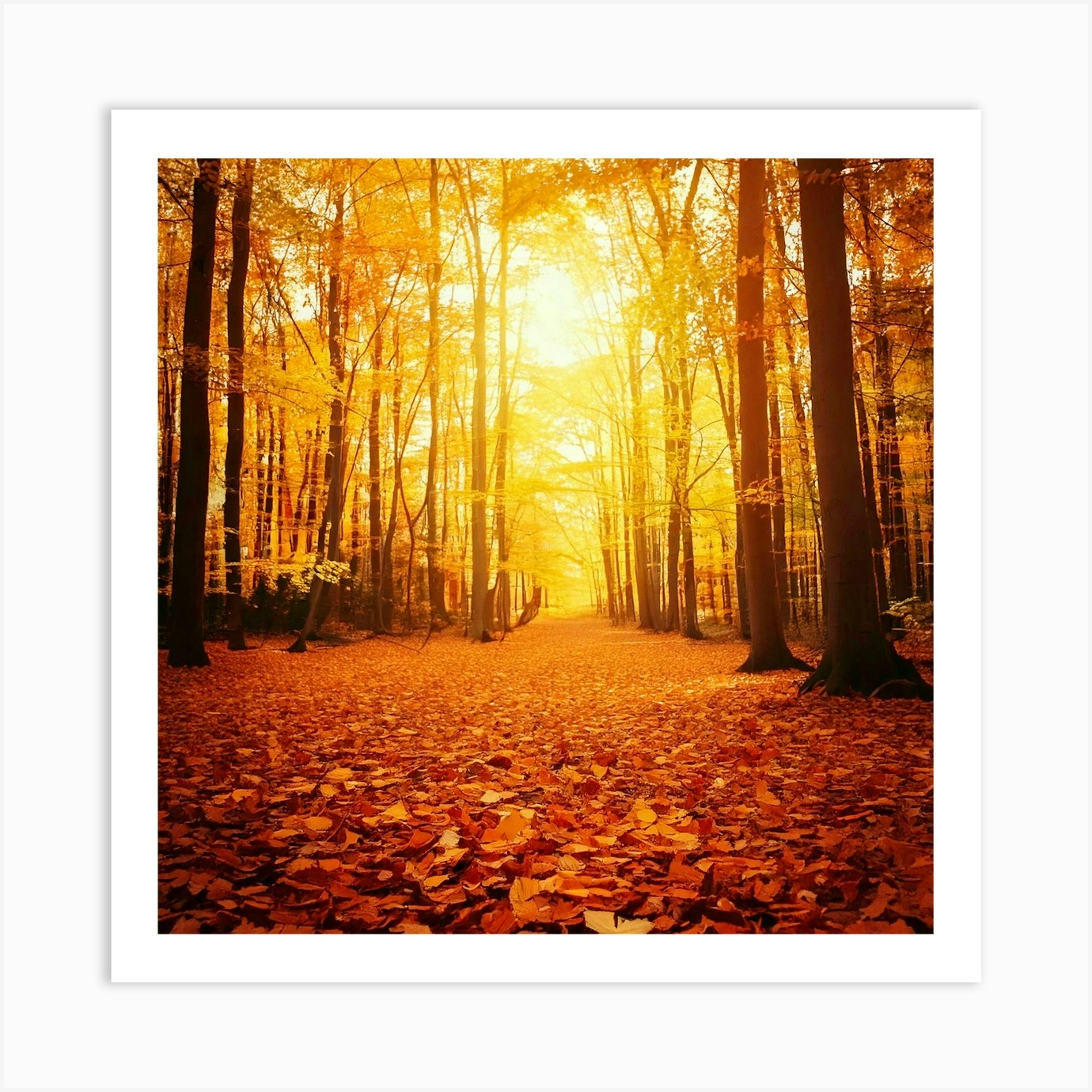 Firefly Autumn Leaves Forest Background 32232 Art Print by Pat4U - Fy