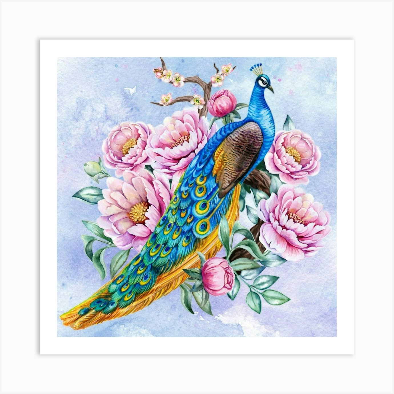Peacock Art Print By Apollonias Prints Fy