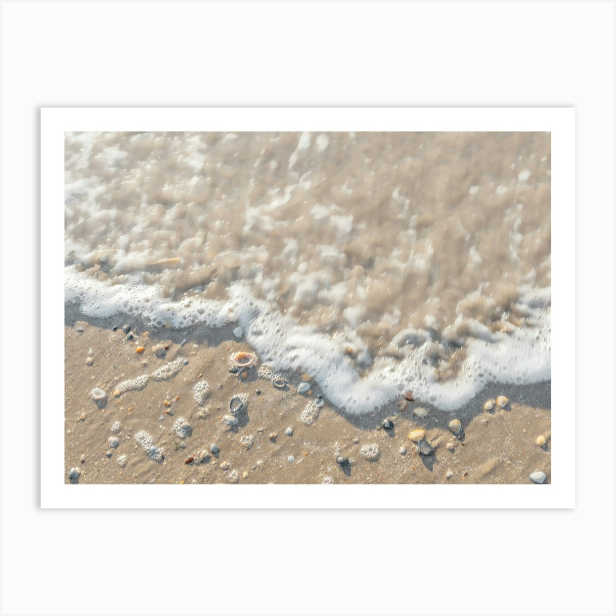 Dutch Beach Shells Art Print by Dagmar Pels - Fy