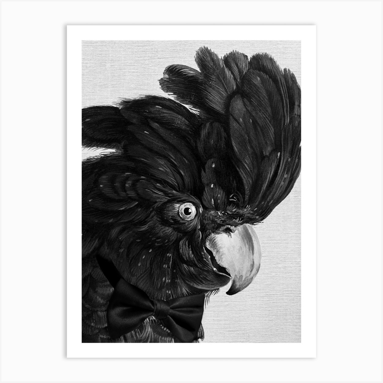 Mister Cockatoo Art Print By Dagmar Pels Fy