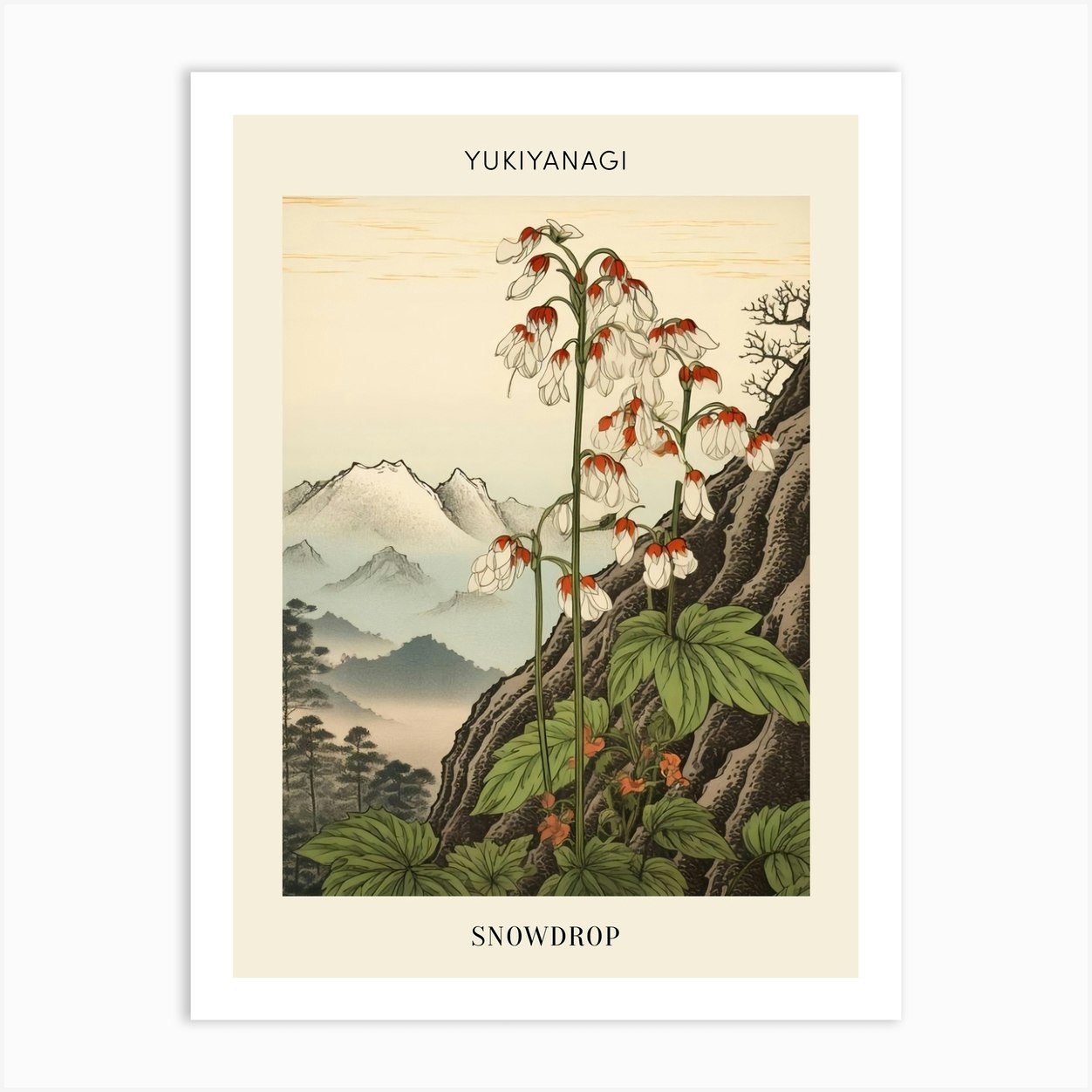 Yukiyanagi Snowdrop Japanese Botanical Illustration Poster Art Print by ...