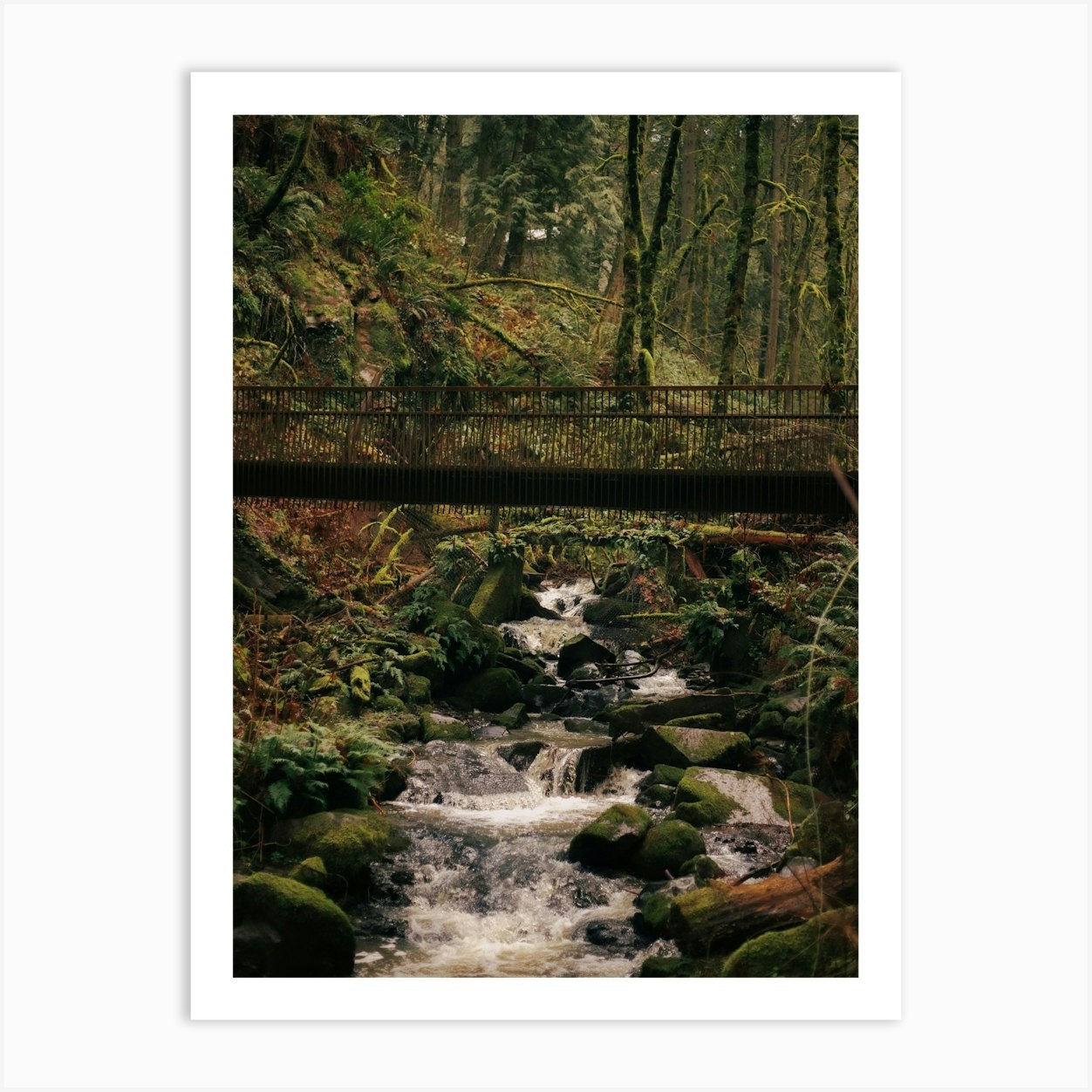 Forest Bridge Creek Forest Park Oregon Art Print by wowhannah - Fy