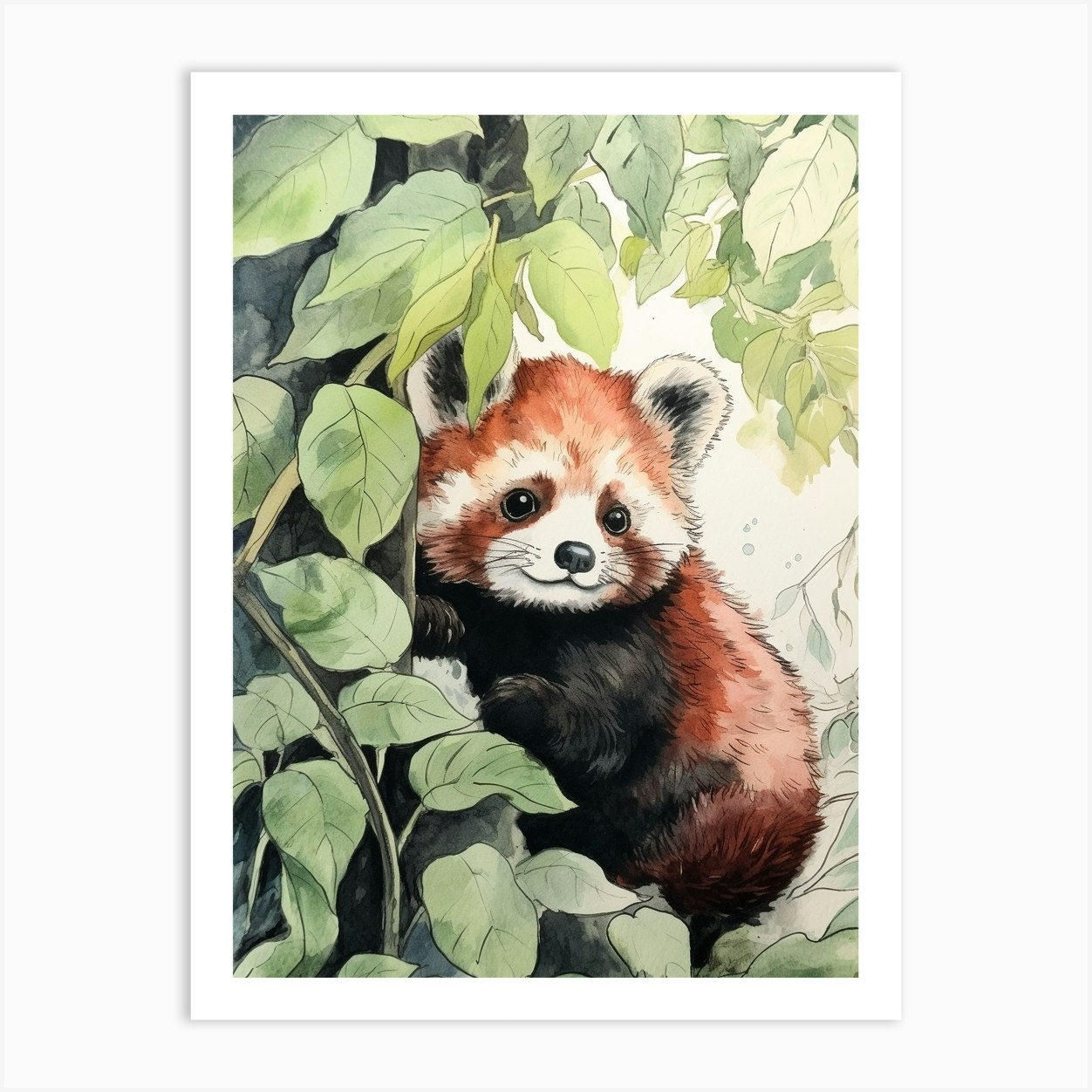 Storybook Animal Watercolour Red Panda 3 Art Print by Scribble Studio - Fy