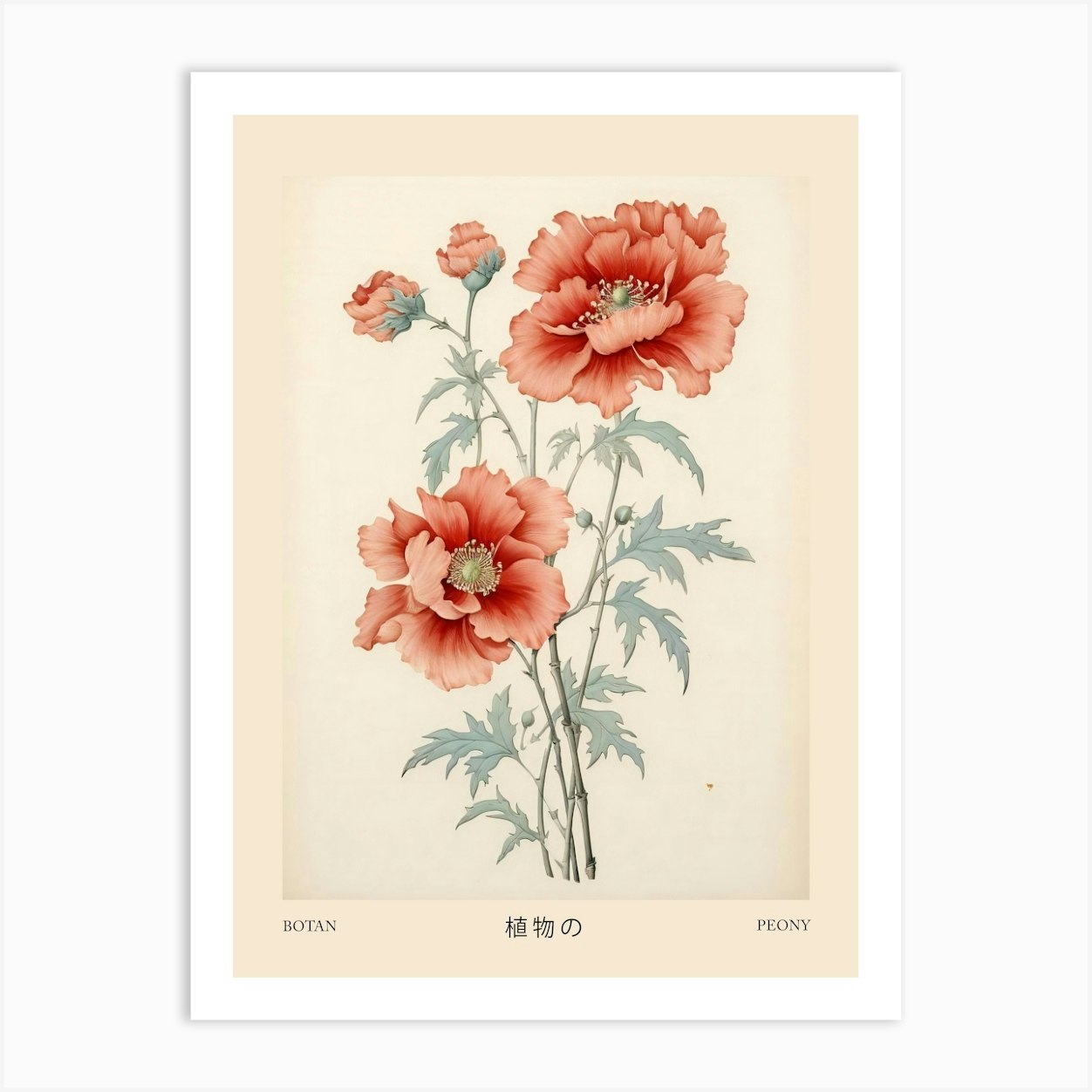 Botan Peony 1 Vintage Japanese Botanical Poster Art Print by Botanic ...