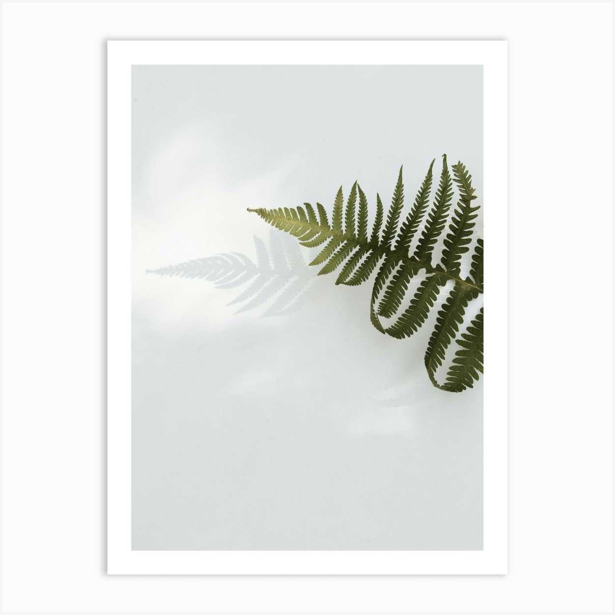 Fern Leaf Art Print by Art shop - Fy