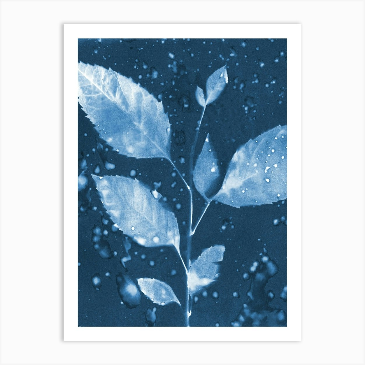 Moody Leaf Specimen in Blue and White Cyanotype Art Print by Gallery J9 ...