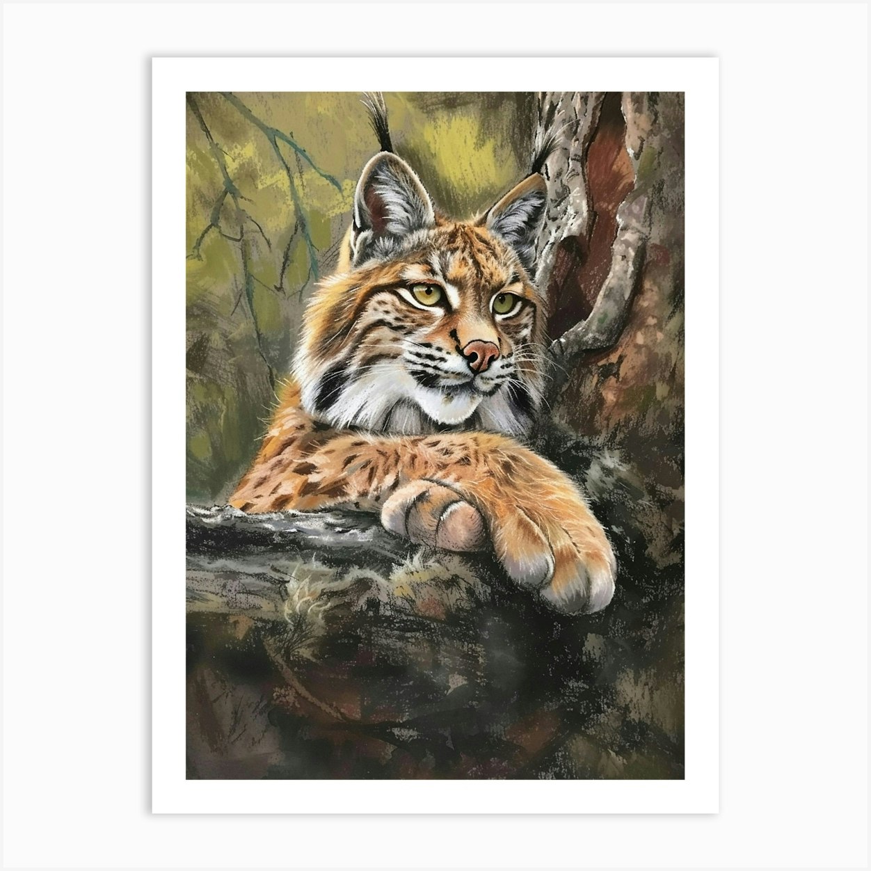 Bobcat Pastel Watercolour 3 Art Print by Critter Crafts - Fy