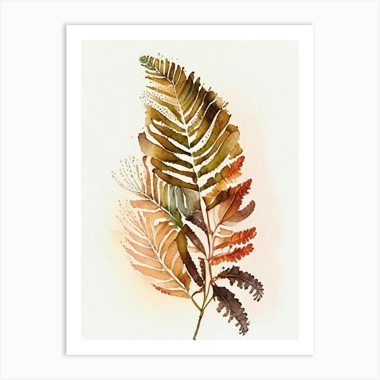 Cinnamon Fern Watercolour Art Print by Ferntastic Prints - Fy