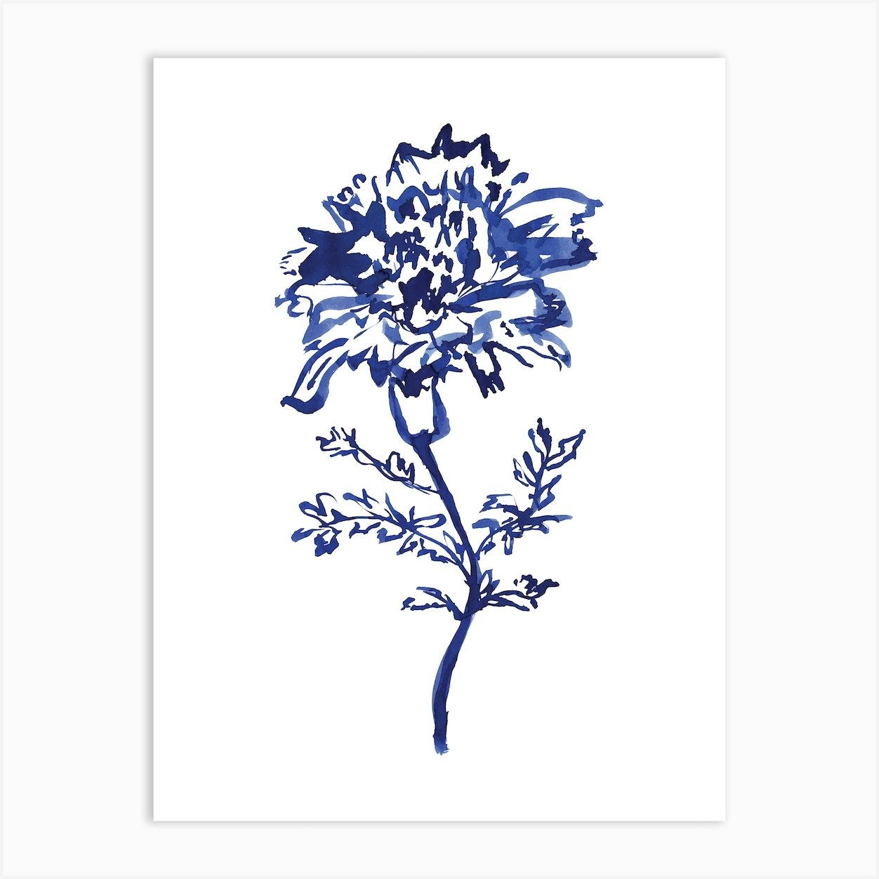 Blue Flower Art Print By Melissa Conde Fy