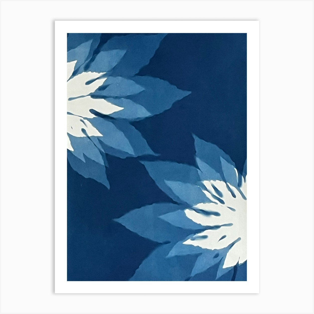 Img 2680 Art Print by Soulful Sunprints - Fy