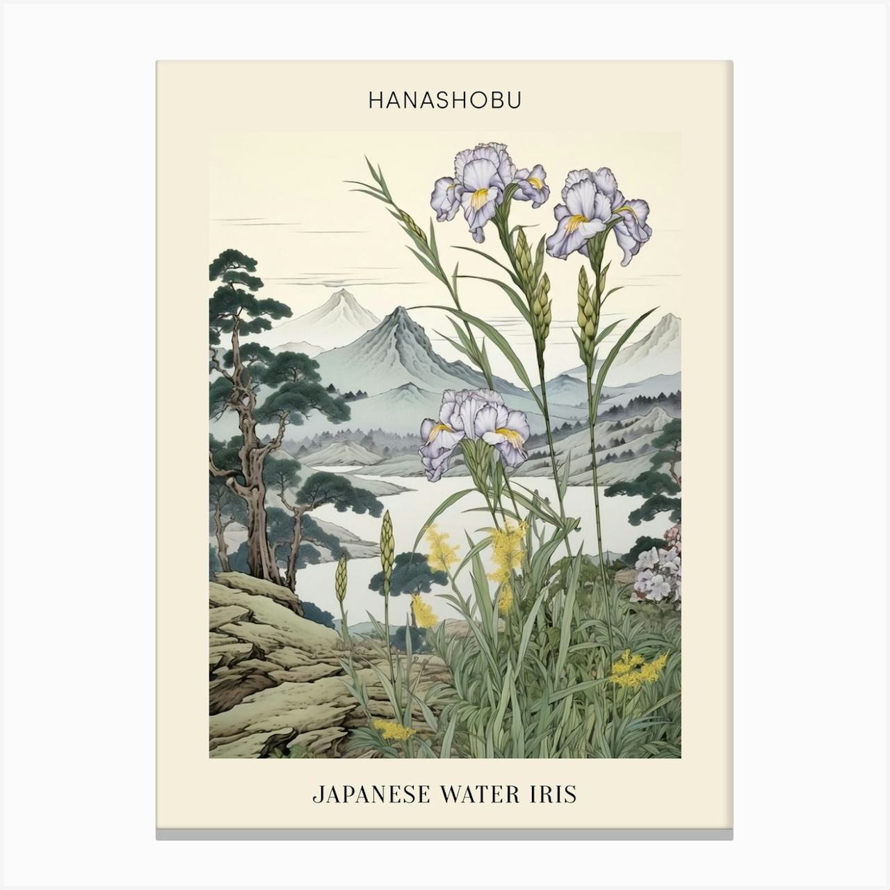 Hanashobu Japanese Water Iris 2 Japanese Botanical Illustration Poster Art Print by Botanic ...