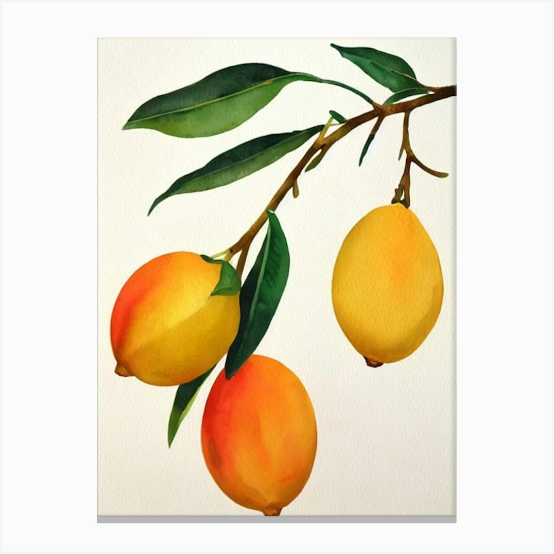 Lemon Watercolour Fruit Painting Fruit Canvas Print by The Fruitery - Fy