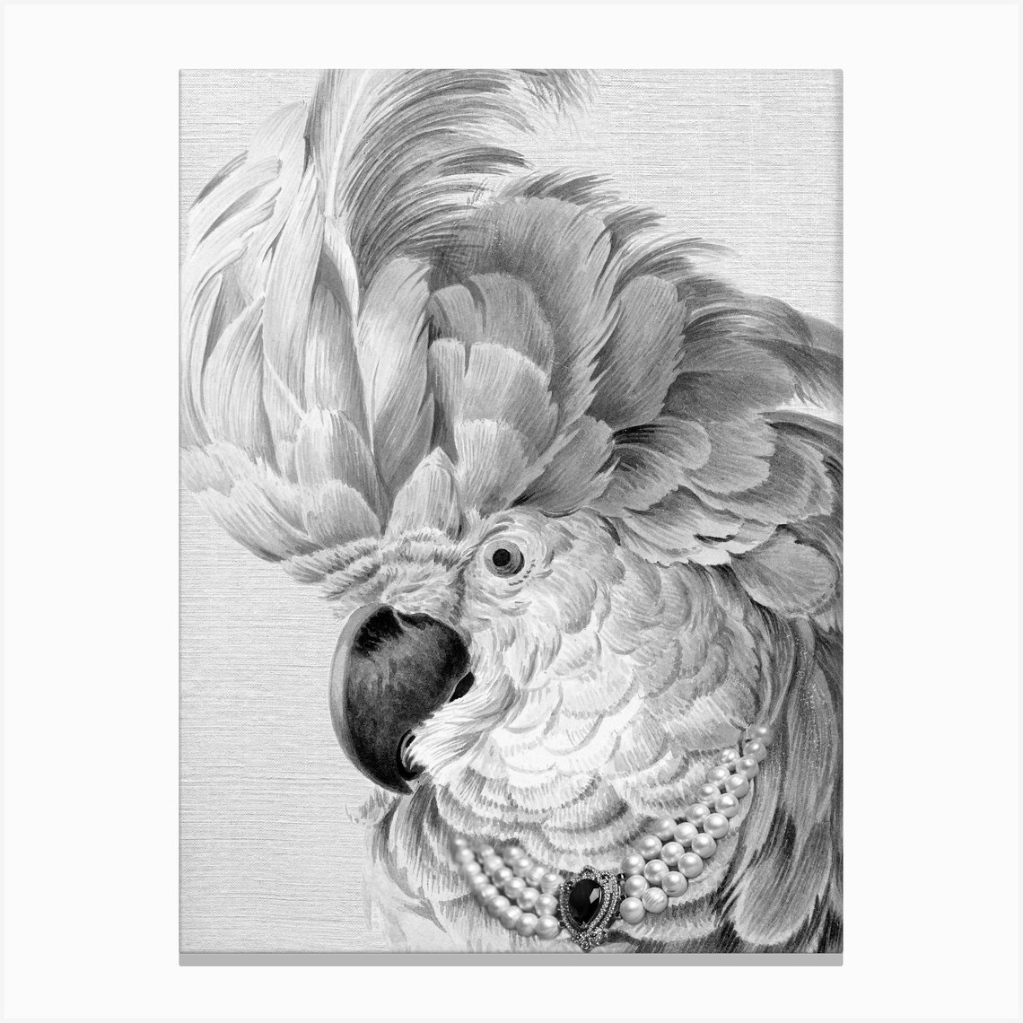 Miss Cockatoo Canvas Print By Dagmar Pels Fy