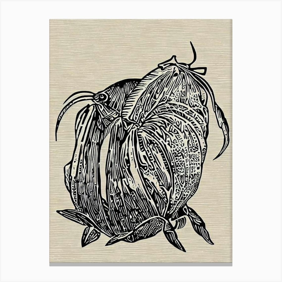 Hermit Crab Linocut Canvas Print by Sea Life Prints - Fy Hermit Crab Linocut Canvas Print by Sea Life Prints - Fy