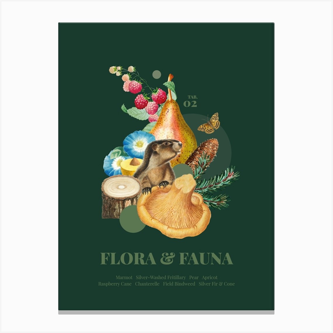 Flora & Fauna with Marmot Canvas Print by Avis et Flos - Fy