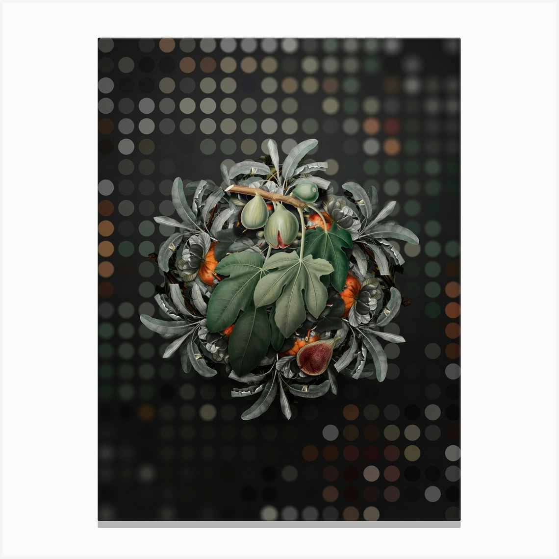 Vintage Fig Fruit Wreath on Dot Bokeh Pattern n.0771 Canvas Print by holyrockarts - Fy