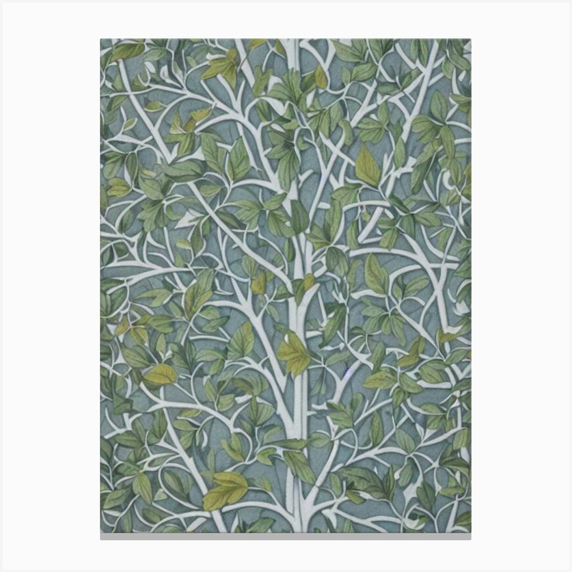 Quercus Velutina 2 tree Vintage Botanical Canvas Print by Arboreal Impressions - Fy