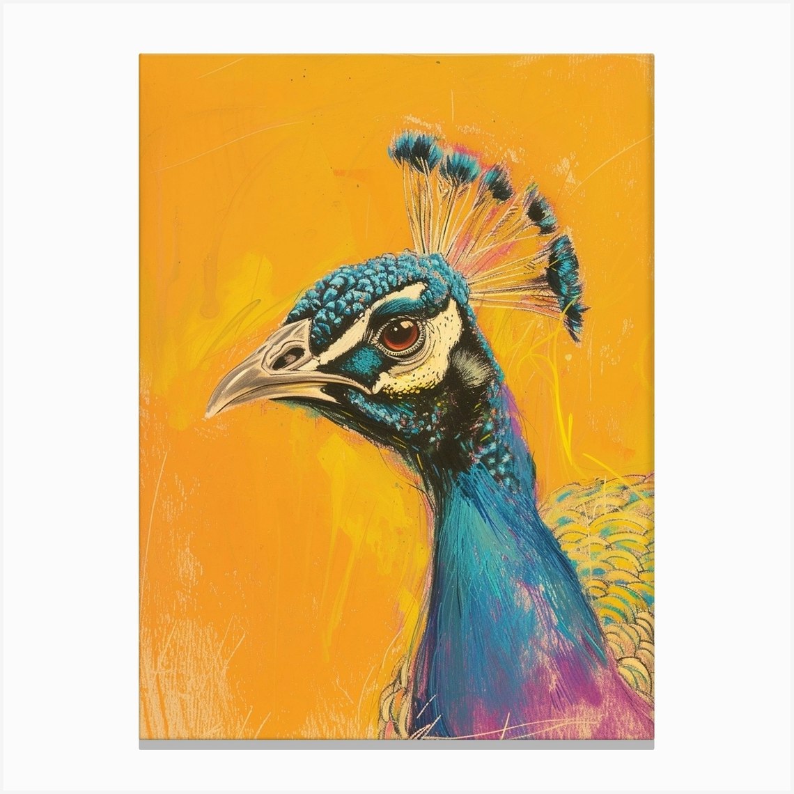 Peacock Portrait Sketch 1 Canvas Print By Featherline Fy