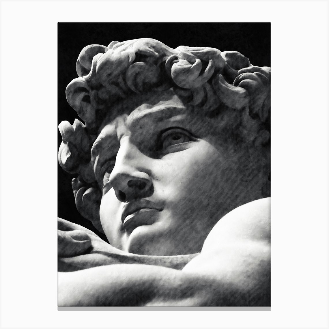 Low Angle View Of David Canvas Print by Underdott Art - Fy