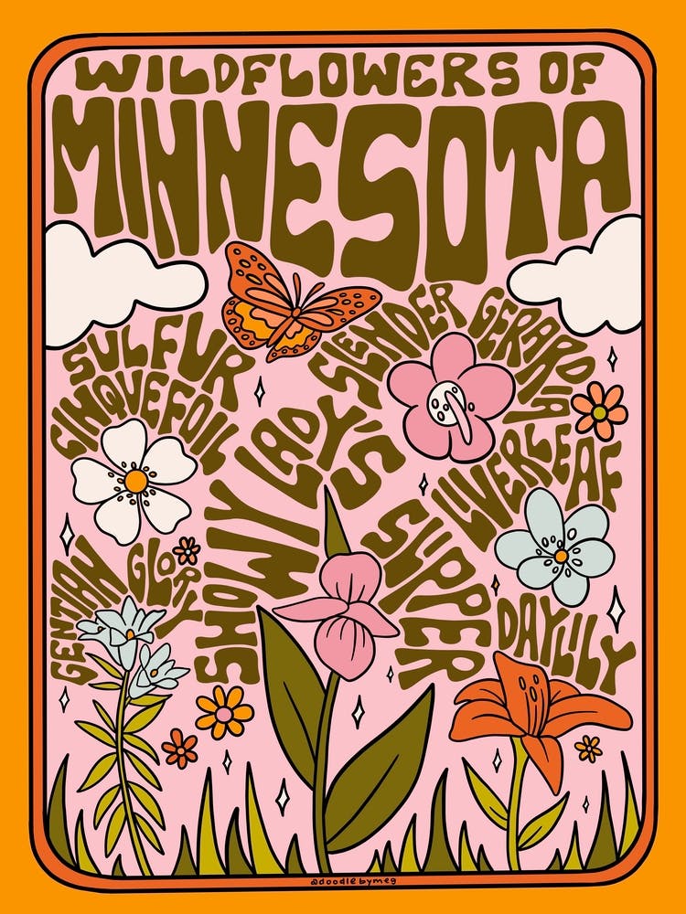 Minnesota Wildflowers Canvas Print by Doodle By Meg - Fy